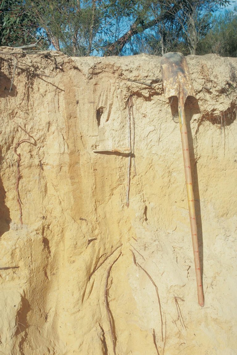 How To Test Soil Texture - Soil Quality Knowledge Base