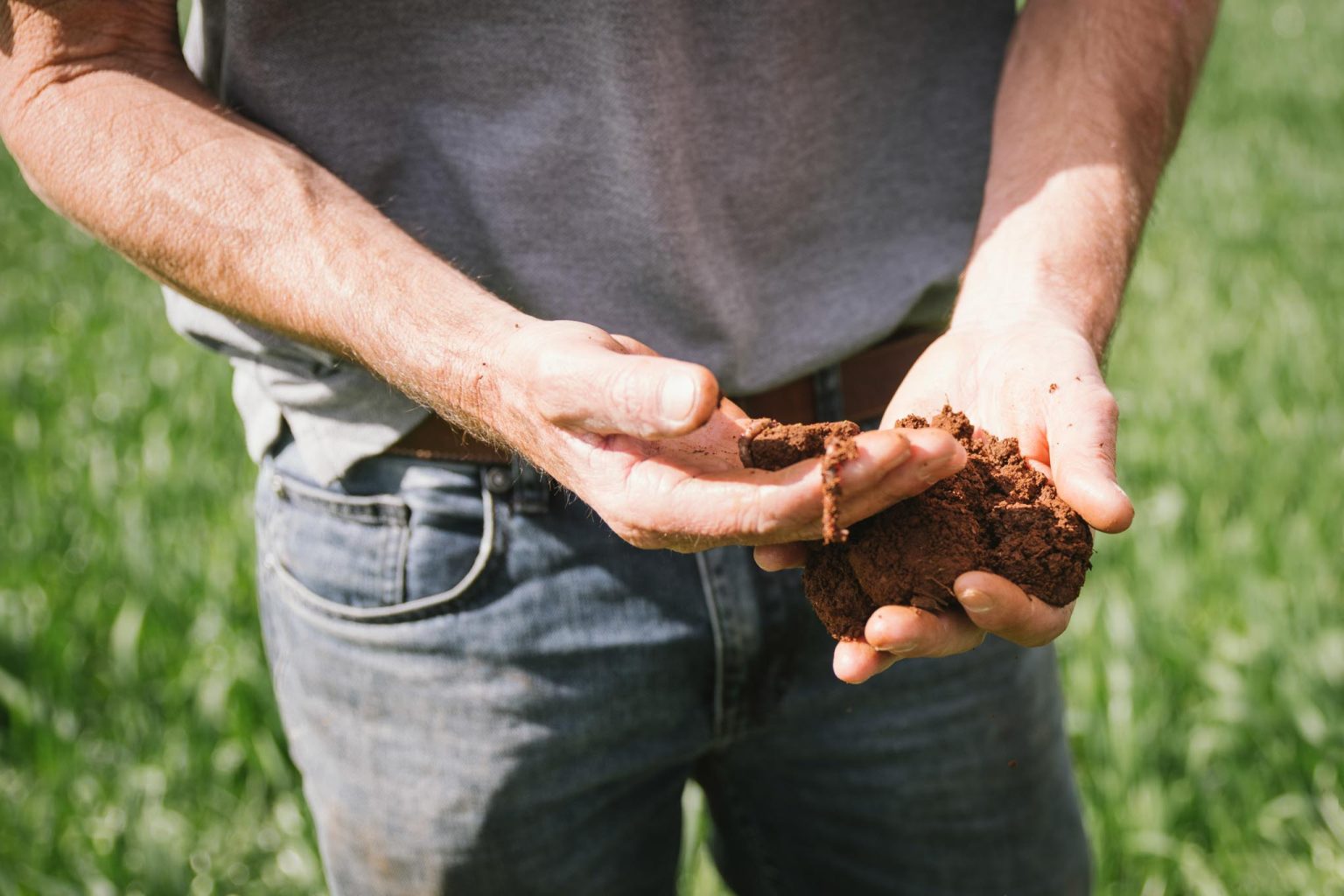 Soil Fertility Explained - Soil Quality Knowledge Base
