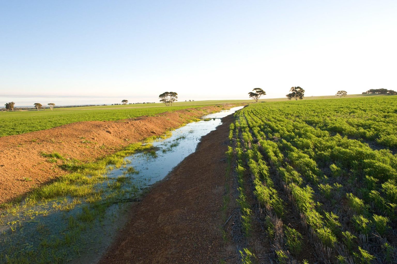 Waterlogged Soil Explained - Soil Quality Knowledge Base