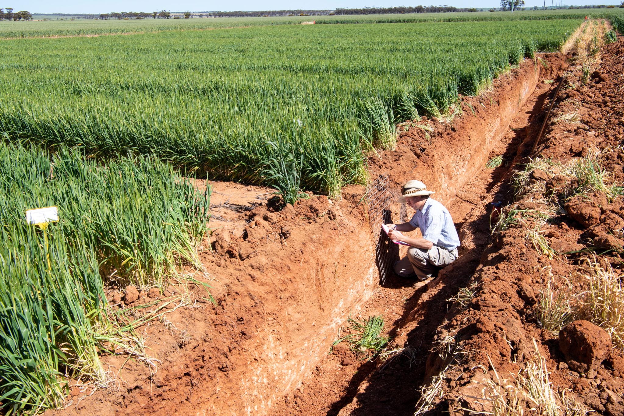 Waterlogged Soil Explained Soil Quality Knowledge Base Waterlogged Soil Explained Soil Quality Knowledge Base
