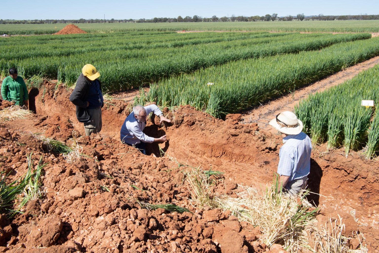 About - Soil Quality Knowledge Base