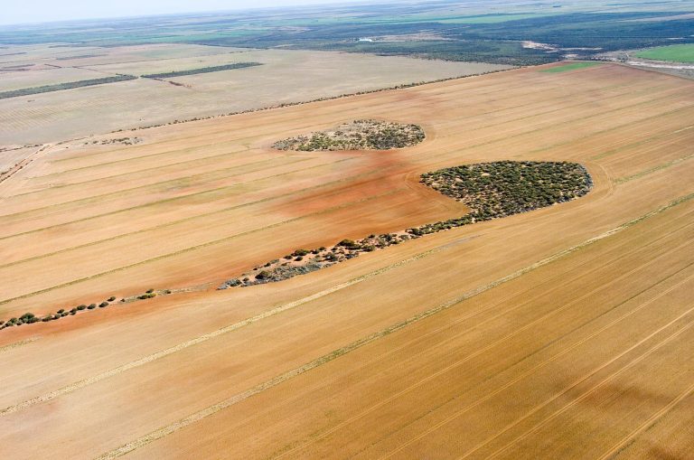 Acidic Soil Explained - Soil Quality Knowledge Base