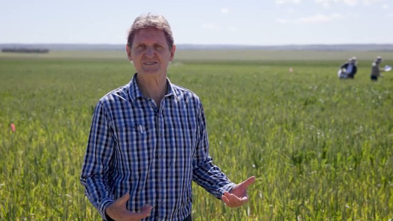 The Australian Soil Classification - WA Soil Knowledge Base