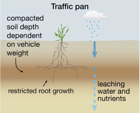 Soil Compaction Explained - Soil Quality Knowledge Base