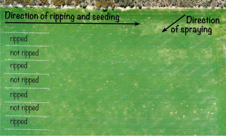 Soil Compaction Explained - Soil Quality Knowledge Base