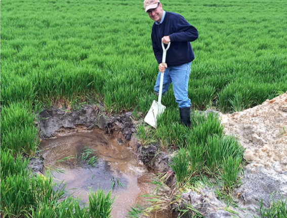 Soil Compaction Explained - Soil Quality Knowledge Base