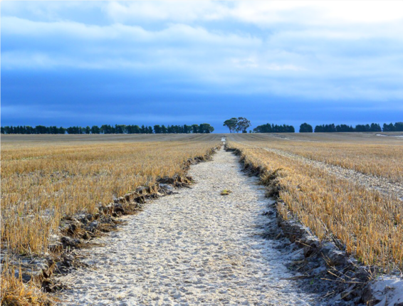 Soil Compaction Explained - Soil Quality Knowledge Base