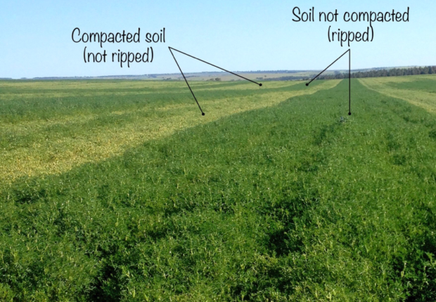 Soil Compaction Explained - Soil Quality Knowledge Base