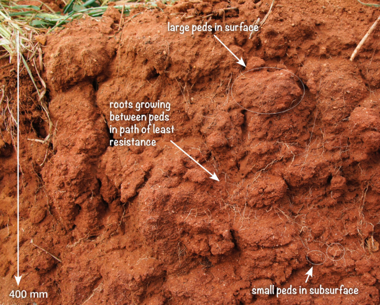 Soil Compaction Explained - Soil Quality Knowledge Base