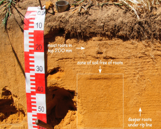 Soil Compaction Explained - Soil Quality Knowledge Base