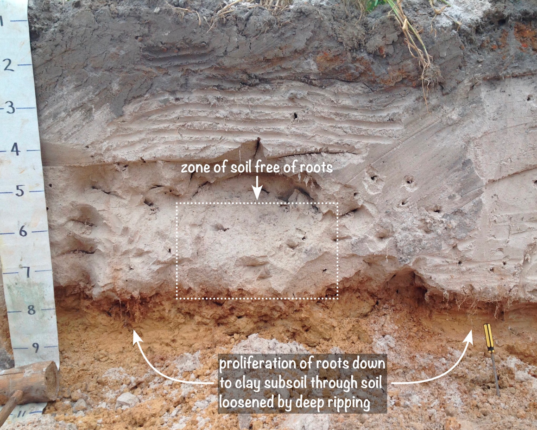 Soil Compaction Explained - Soil Quality Knowledge Base