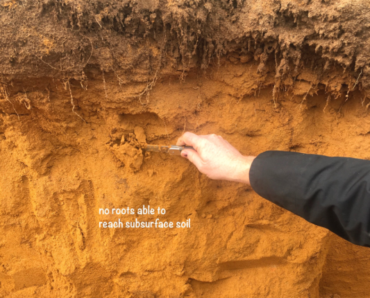 Soil Compaction Explained - Soil Quality Knowledge Base
