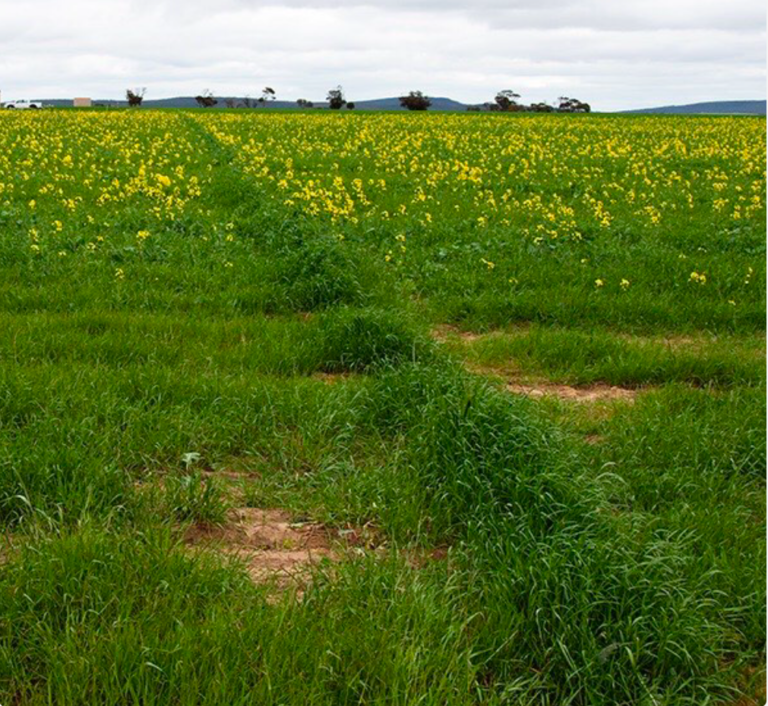 Soil Compaction Explained - Soil Quality Knowledge Base