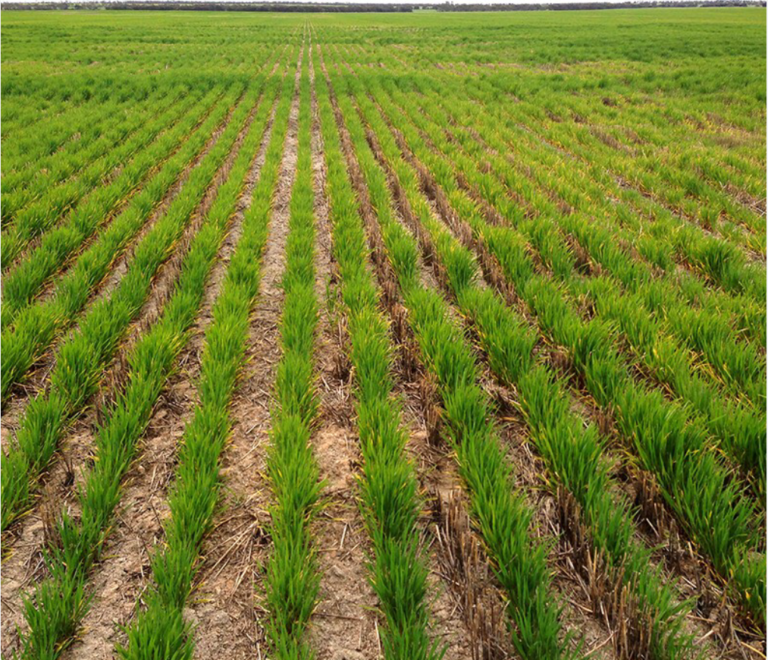 Soil Compaction Explained - Soil Quality Knowledge Base