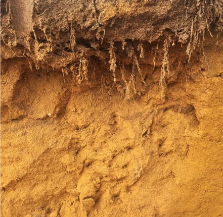 Soil Compaction Explained - Soil Quality Knowledge Base