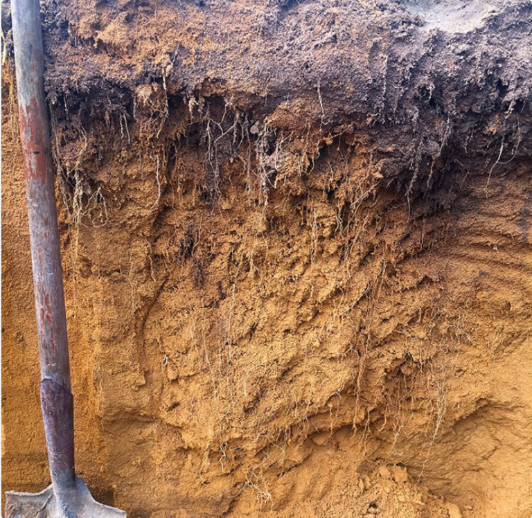 Soil Compaction Explained - Soil Quality Knowledge Base
