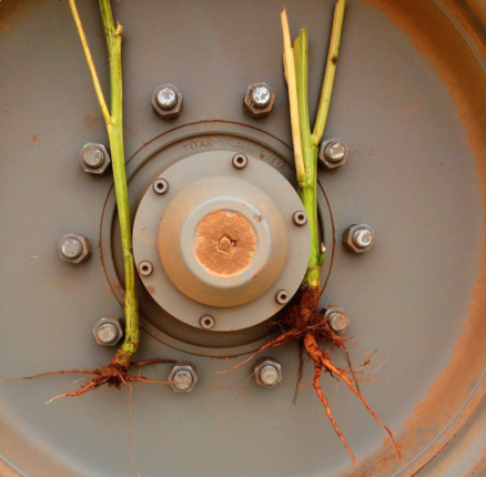 Soil Compaction Explained - Soil Quality Knowledge Base