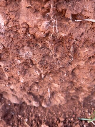 Soil Compaction Explained - Soil Quality Knowledge Base