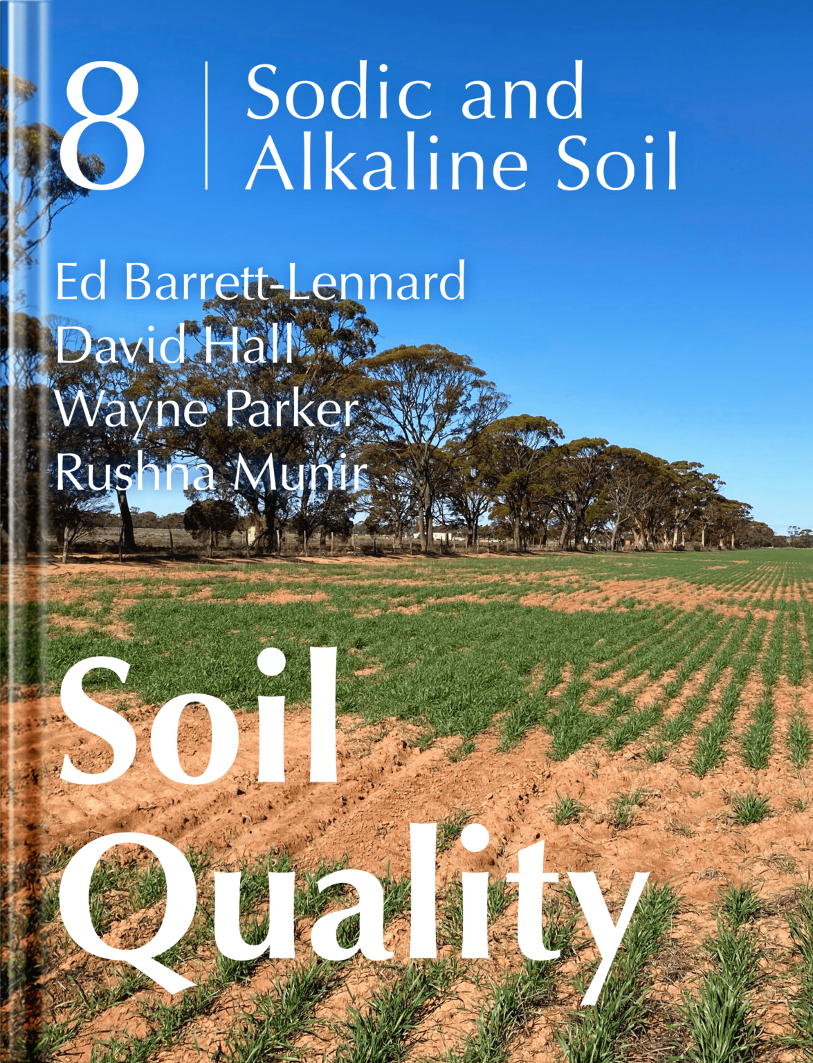Waterlogged Soil Explained - Soil Quality Knowledge Base