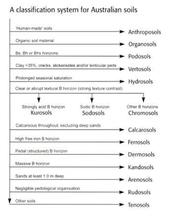 Soil Groups Explained - Soil Quality Knowledge Base
