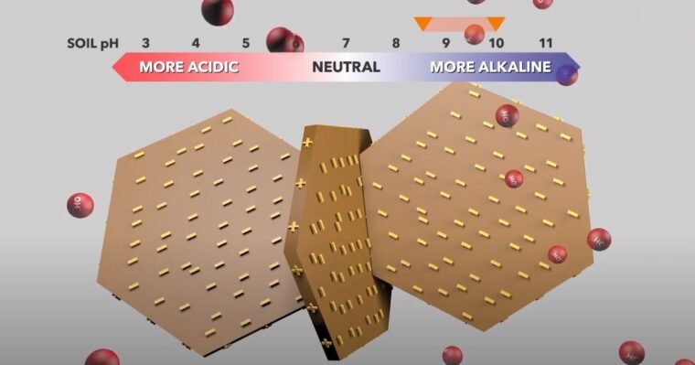 Sodic & Alkaline Soil - Soil Quality Knowledge Base
