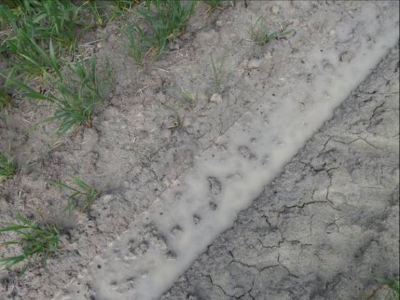 Soil Amendments Explained - Soil Quality Knowledge Base