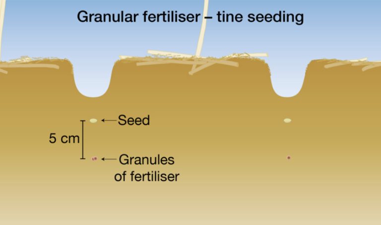 Soil Fertiliser Explained - Soil Quality Knowledge Base