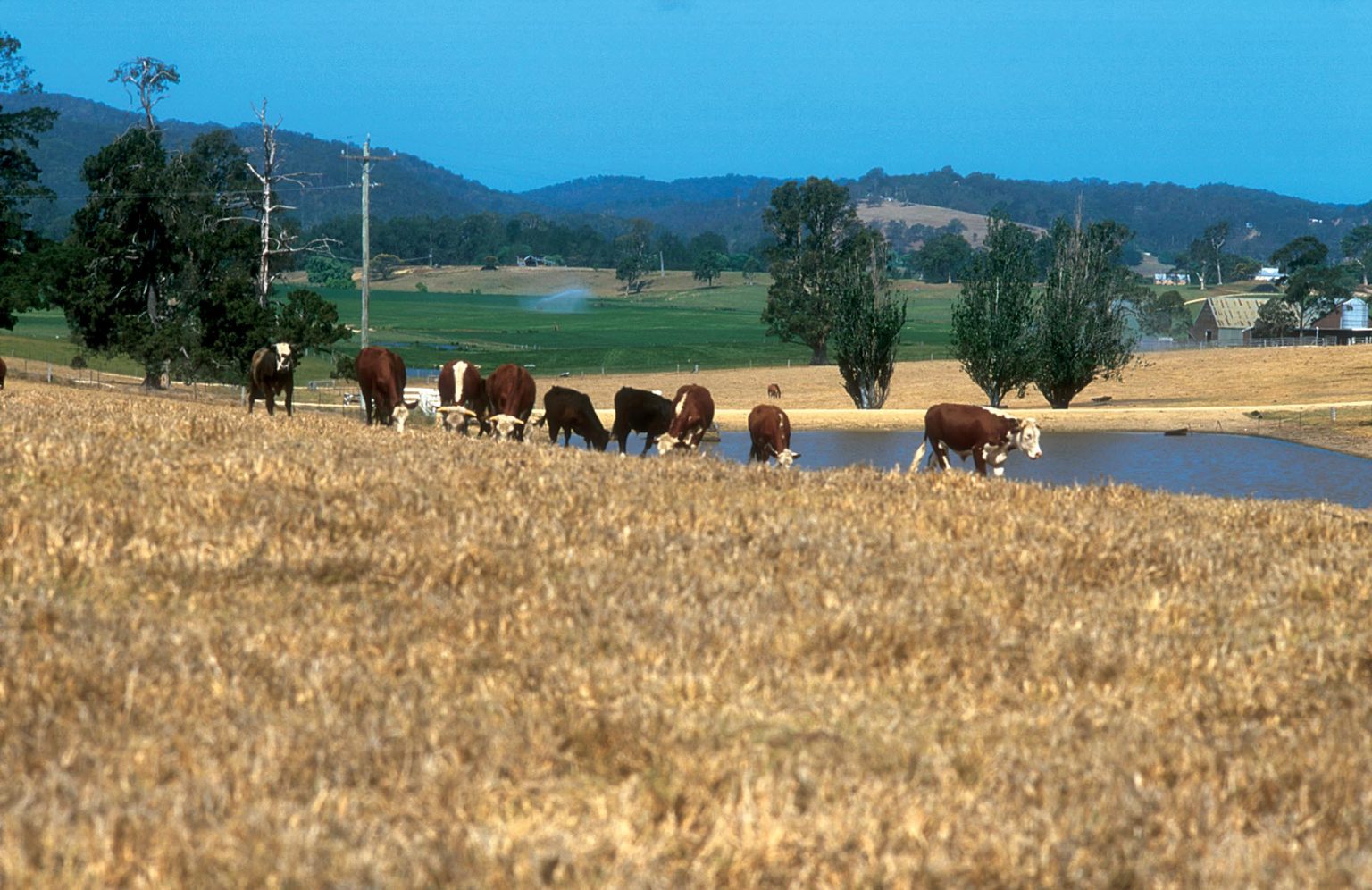 How to reduce fertiliser leaching and runoff - WA Soil Knowledge Base