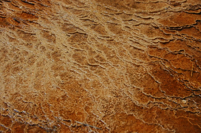 Soil Nutrients Explained - Soil Quality Knowledge Base