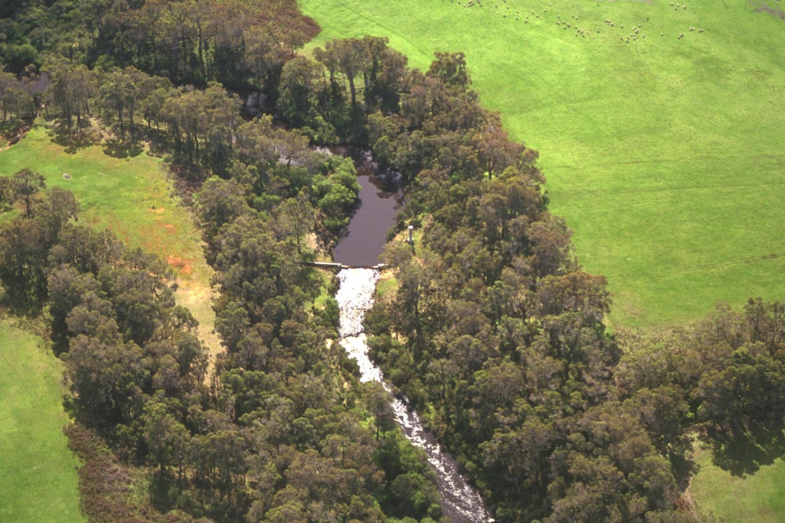 How to reduce fertiliser leaching and runoff - WA Soil Knowledge Base