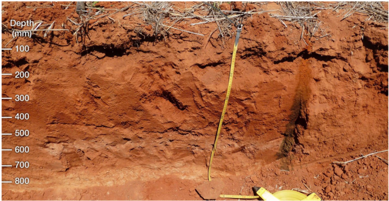 Soil Tests & Analysis - Soil Quality Knowledge Base