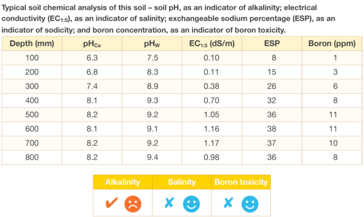 Sodic and alkaline soil profiles in the south-western agricultural ...
