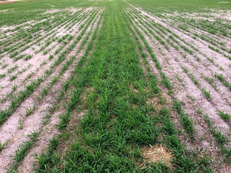 Soil Information & Research WA - Soil Quality Knowledge Base