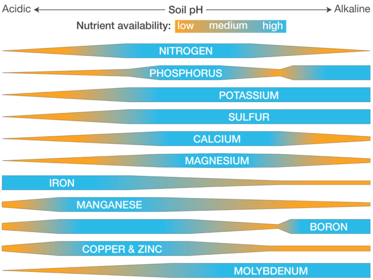 Soil pH Explained - Soil Quality Knowledge Base