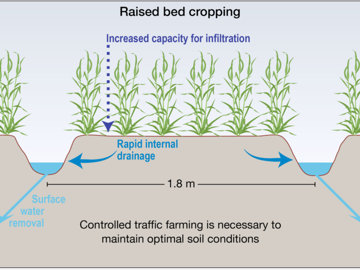 Waterlogged Soil Explained - Soil Quality Knowledge Base