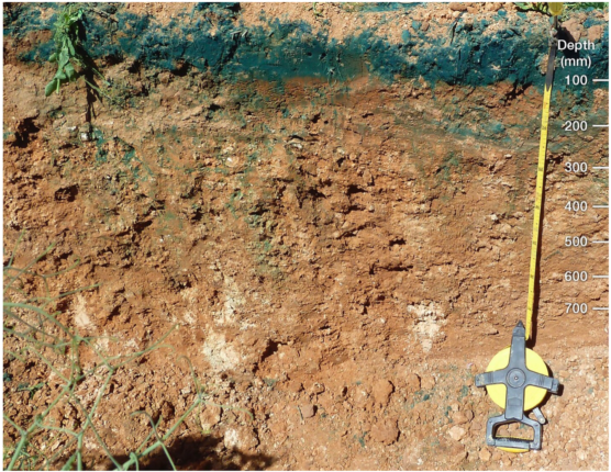 Sodic and alkaline soil profiles in the south-western agricultural ...