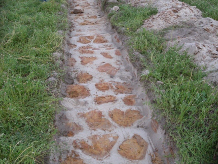 Sodic & Alkaline Soil - Soil Quality Knowledge Base