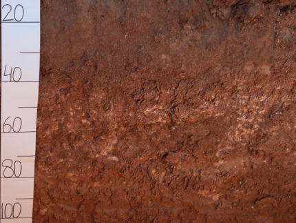 Sodic & Alkaline Soil - Soil Quality Knowledge Base