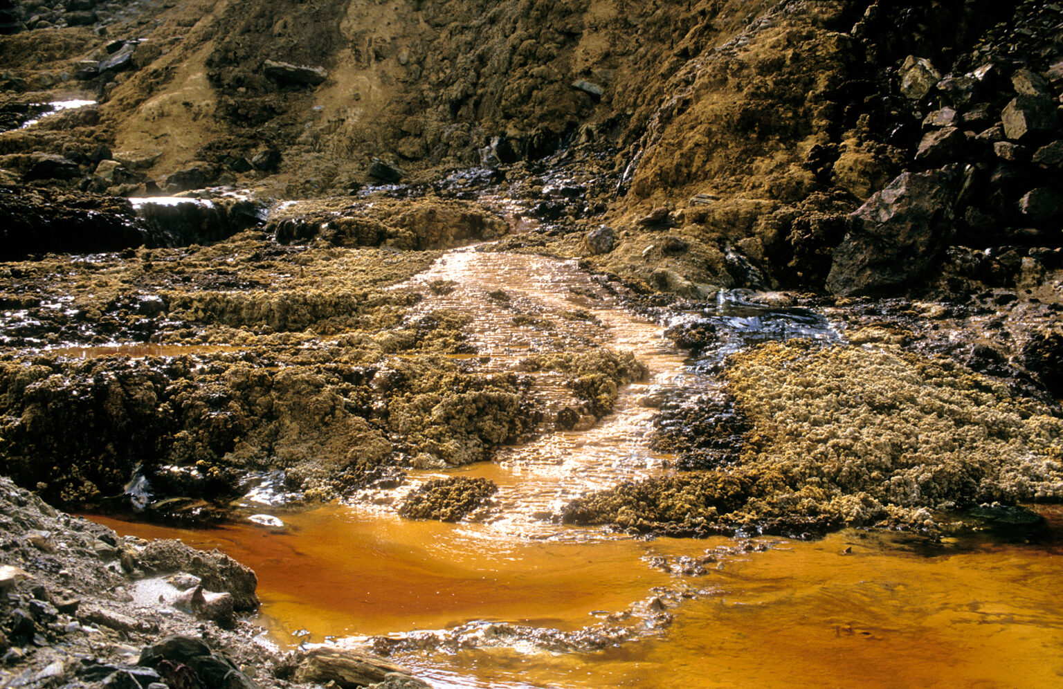 Soil Pollution Explained - Soil Quality Knowledge Base