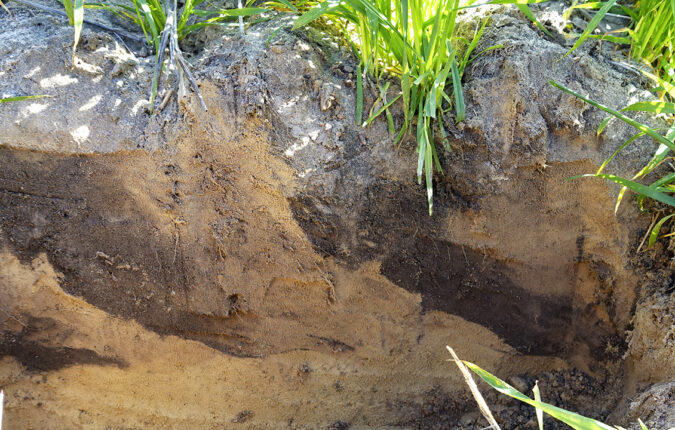 Agricultural Lime Explained - Soil Quality Knowledge Base