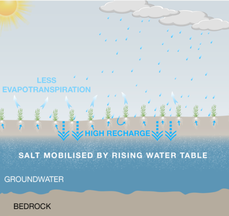 Soil Salinity Explained - Soil Quality Knowledge Base