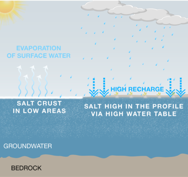Soil Salinity Explained - Soil Quality Knowledge Base