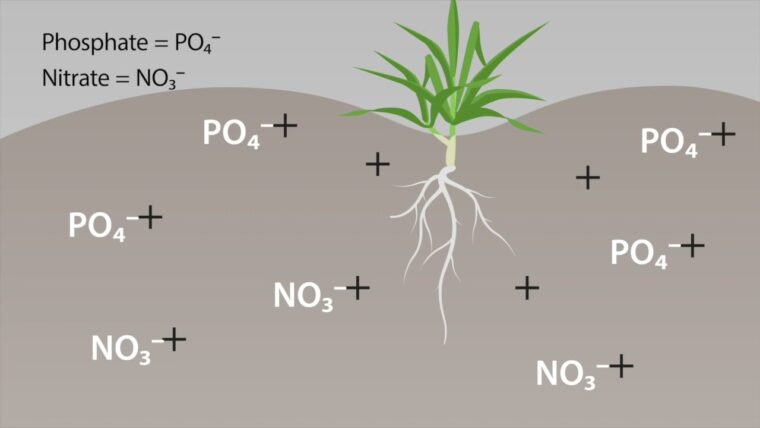 Cation Exchange Capacity Soil Quality Knowledge Base