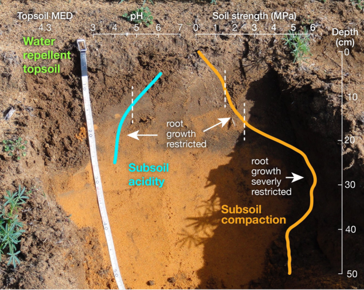 Resources Archive - WA Soil Knowledge Base