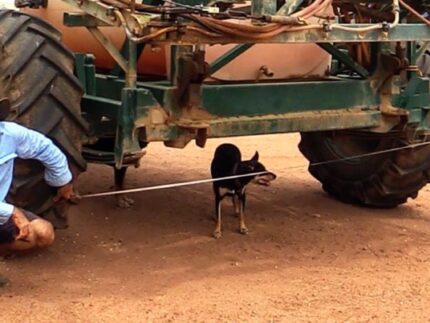 Controlled Traffic Farming WA - Soil Quality Knowledge Base