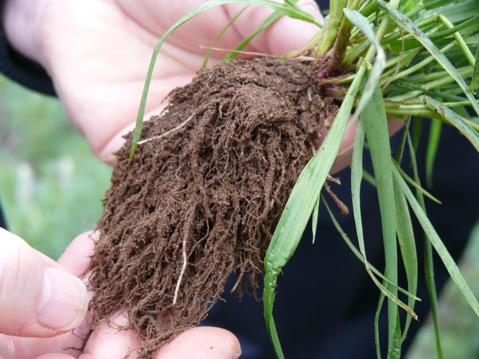 About - Soil Quality Knowledge Base