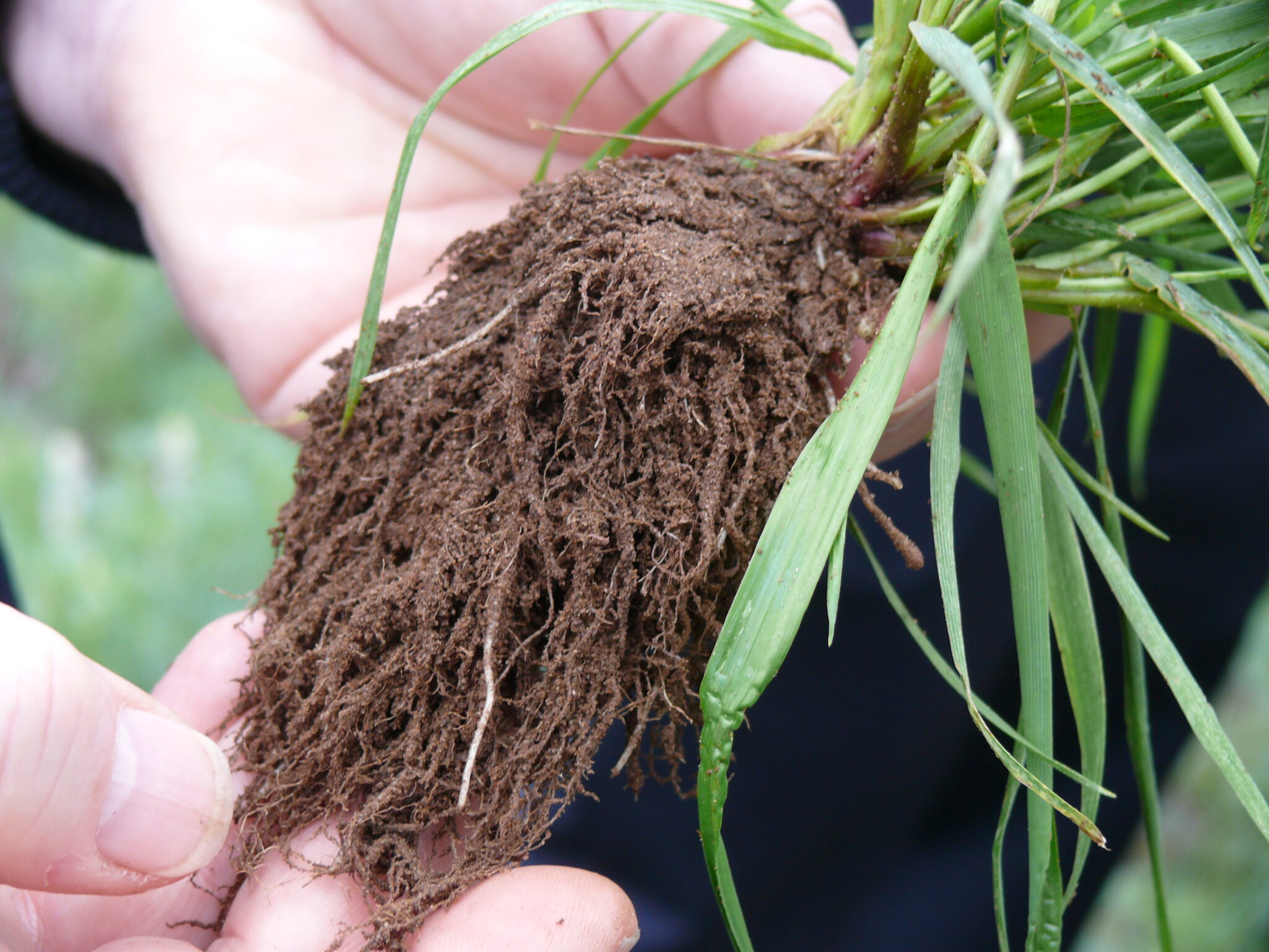 About - Soil Quality Knowledge Base