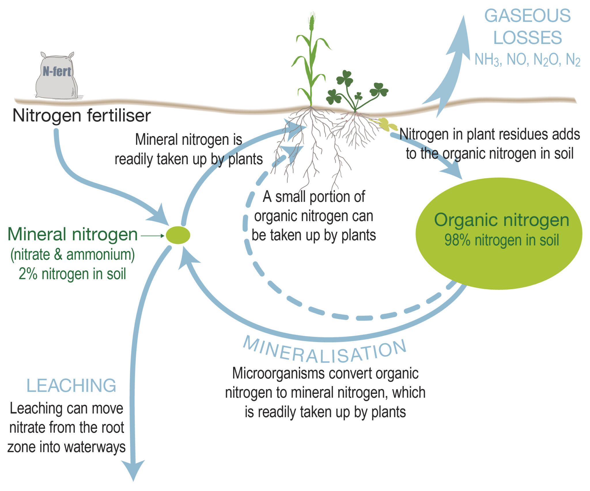 Nitrogen In Soil Explained - Soil Quality Knowledge Base