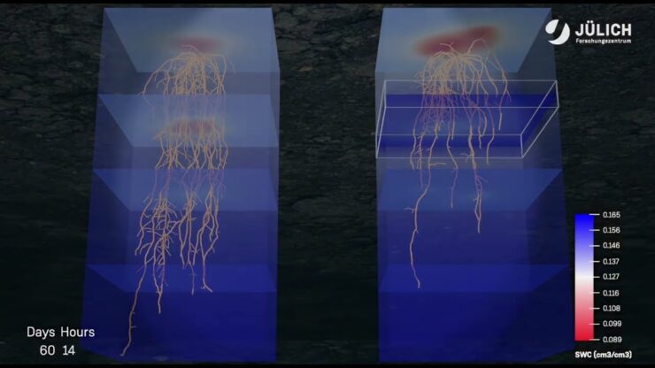 Soil Compaction Explained - Soil Quality Knowledge Base