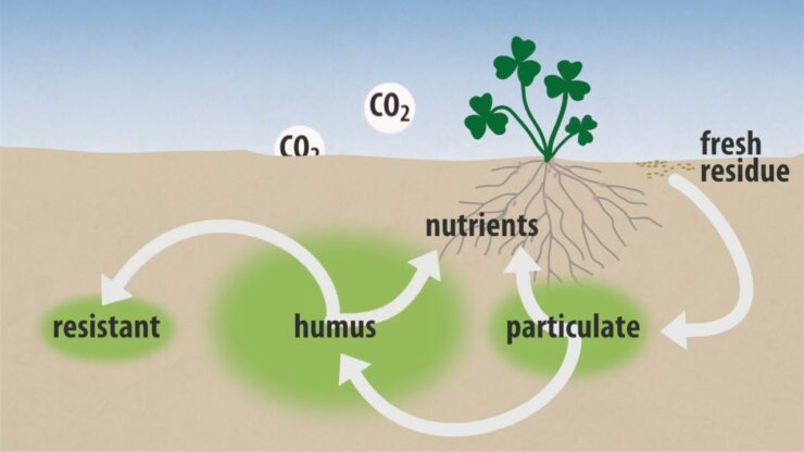 Soil Organic Matter - Soil Quality Knowledge Base